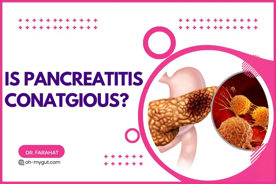 Lipase levels 101: Normal Range, Elevated, Low Levels & More - Oh My Gut