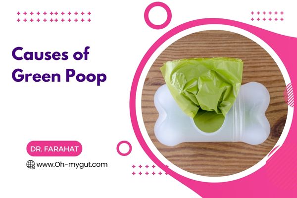 Why is my Poop Green? 11 Causes & when to worry. - Oh My Gut