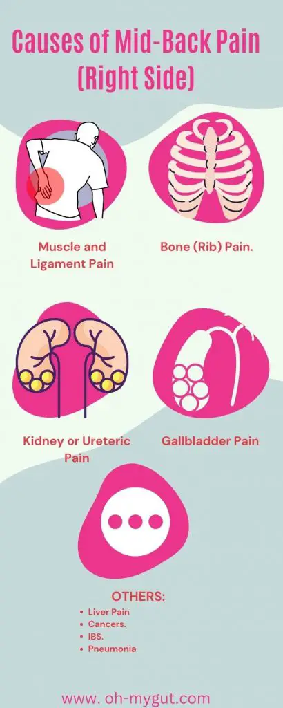 Mid Back Pain (Right Side): 6 Causes & How to Differentiate. - Oh My Gut